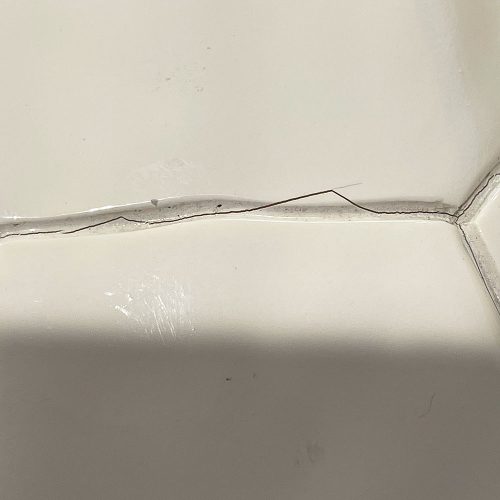 Nate Berkus Decorative Tortoise Shell Wall Decor - Catherine's Loft